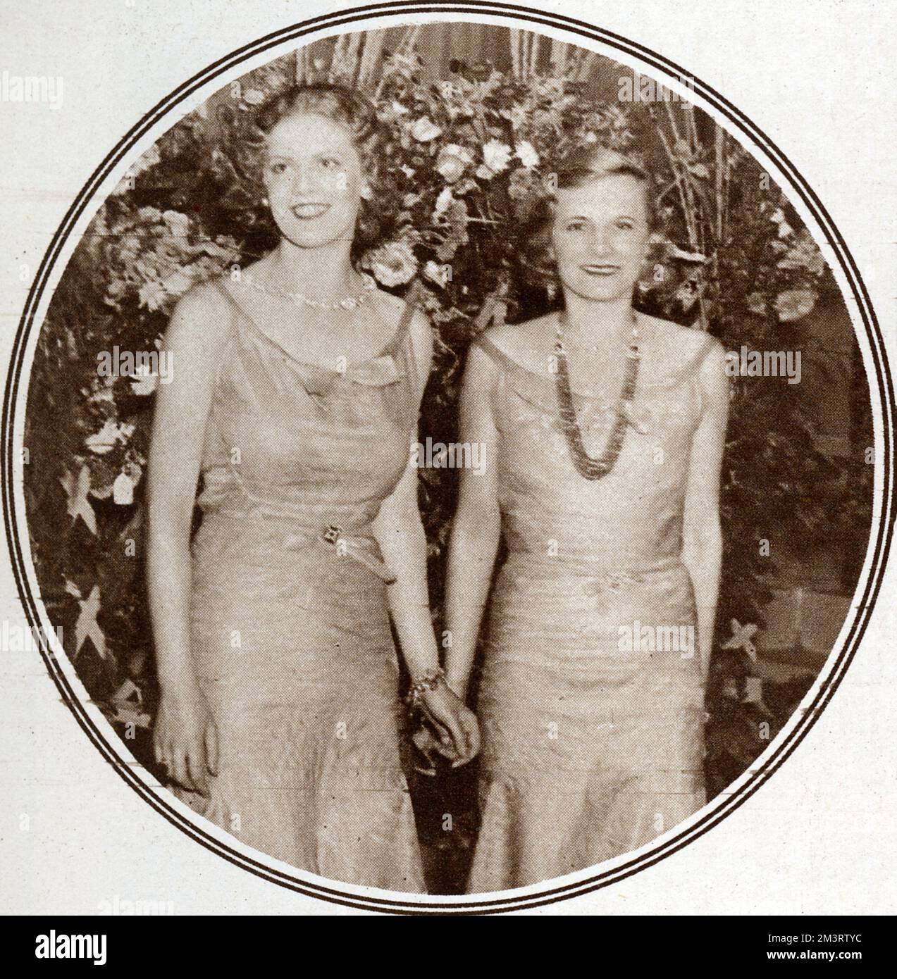 Lady lygon hi-res stock photography and images - Alamy