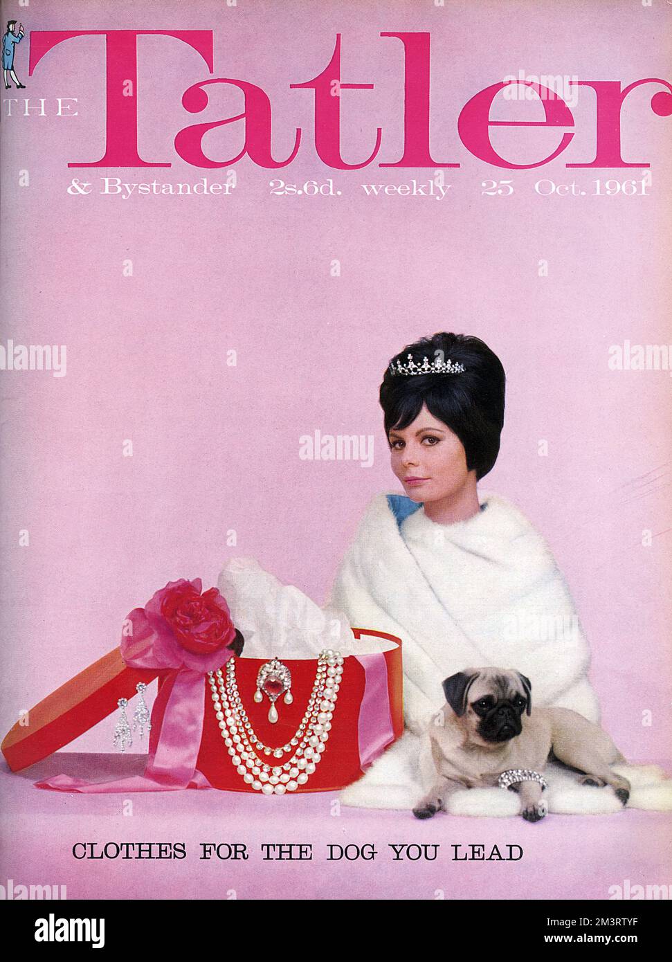 Model from the front hi-res stock photography and images - Alamy