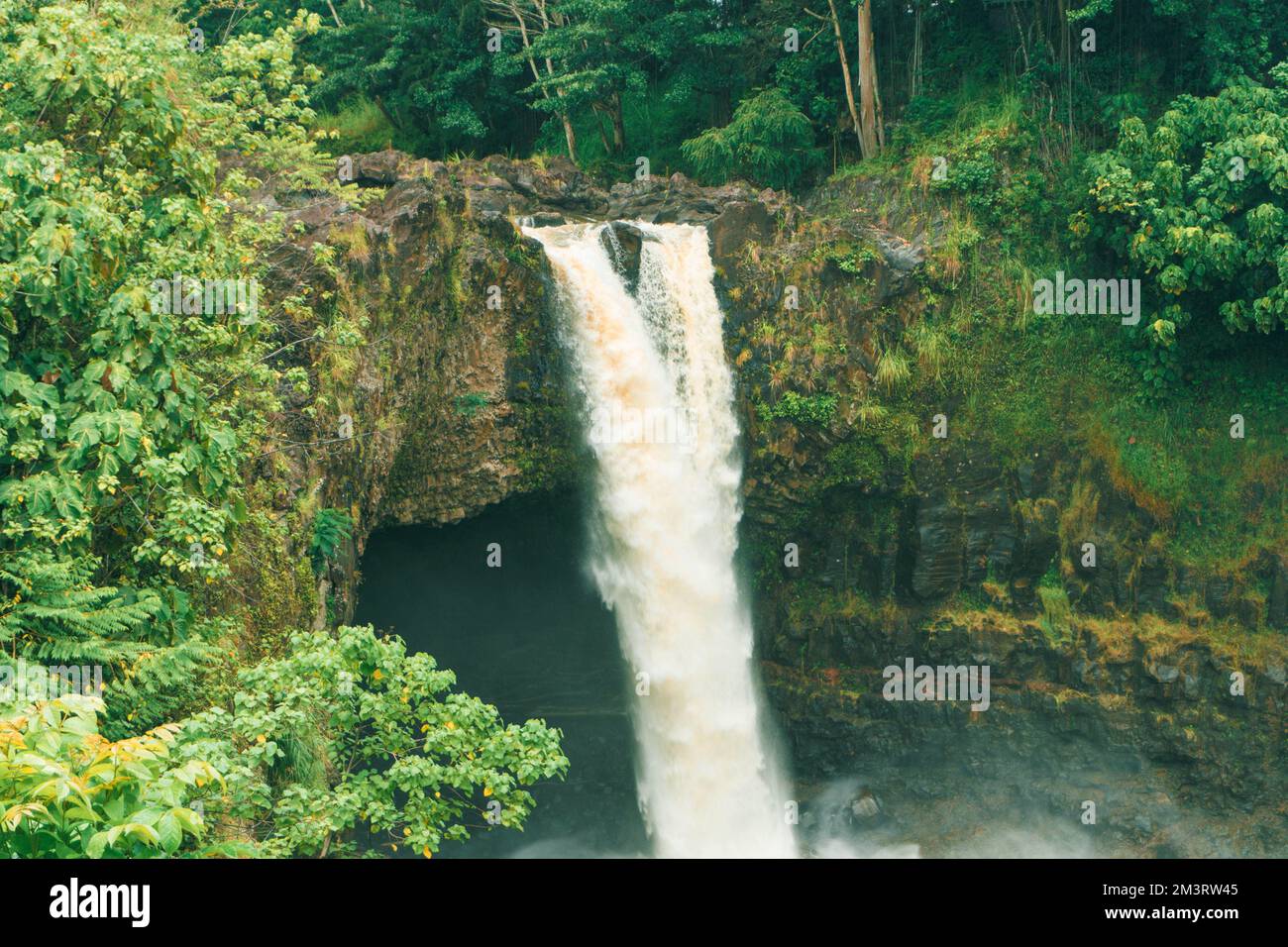 Hawaii waterfall pool foliage hi-res stock photography and images - Alamy