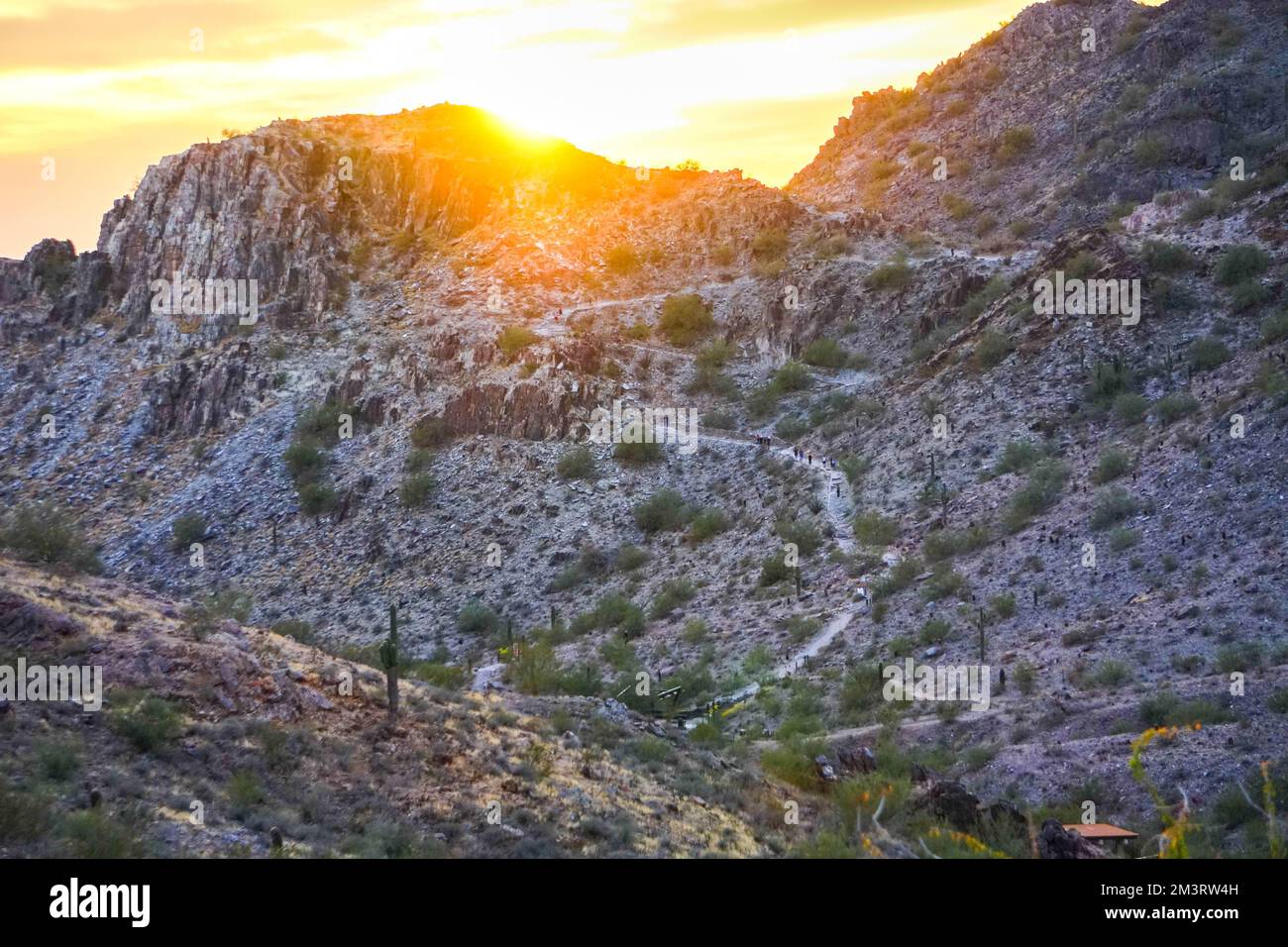 Phoenix skyline and cactus hi-res stock photography and images - Alamy