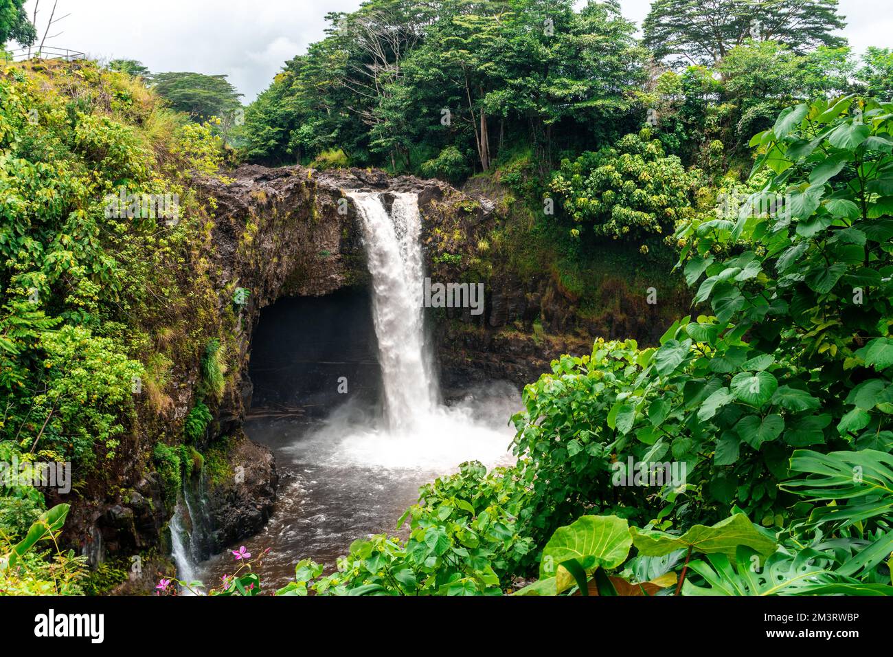 Hilo waterfall hi-res stock photography and images - Alamy