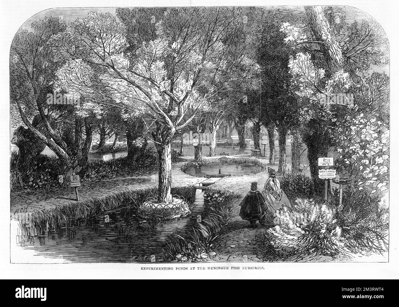 Experimenting Ponds at the Huningue Fish Nurseries Stock Photo - Alamy