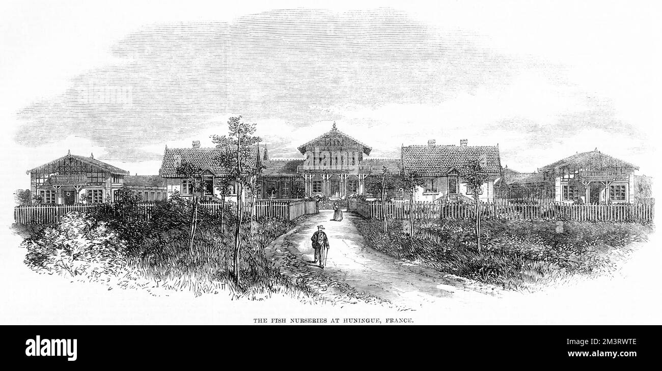 The Fish Nurseries at Huningue, France Stock Photo - Alamy