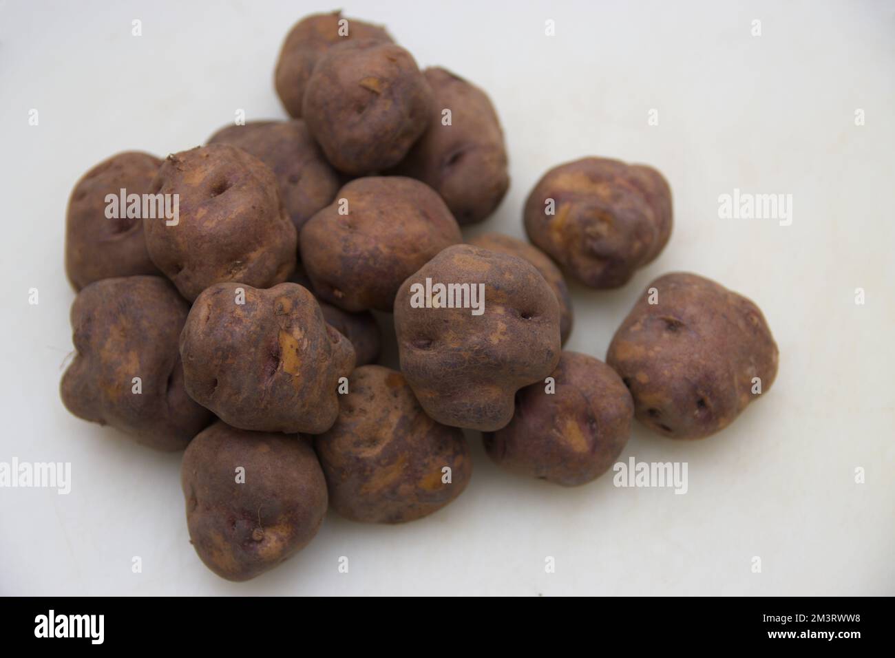 Closeup of a bunch of black potatoes to make papas arrugadas ...