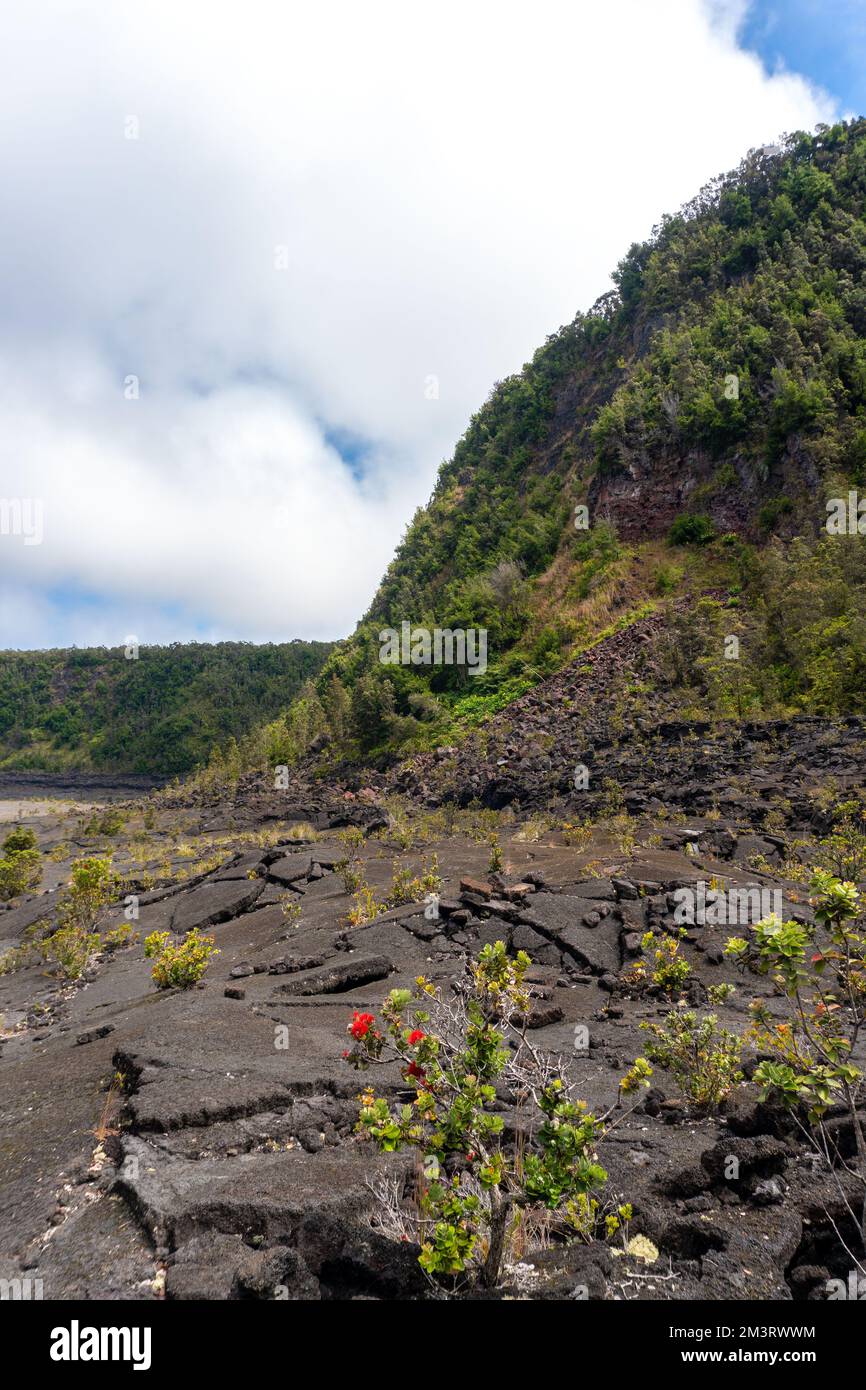Volcanoes national park Stock Photo - Alamy