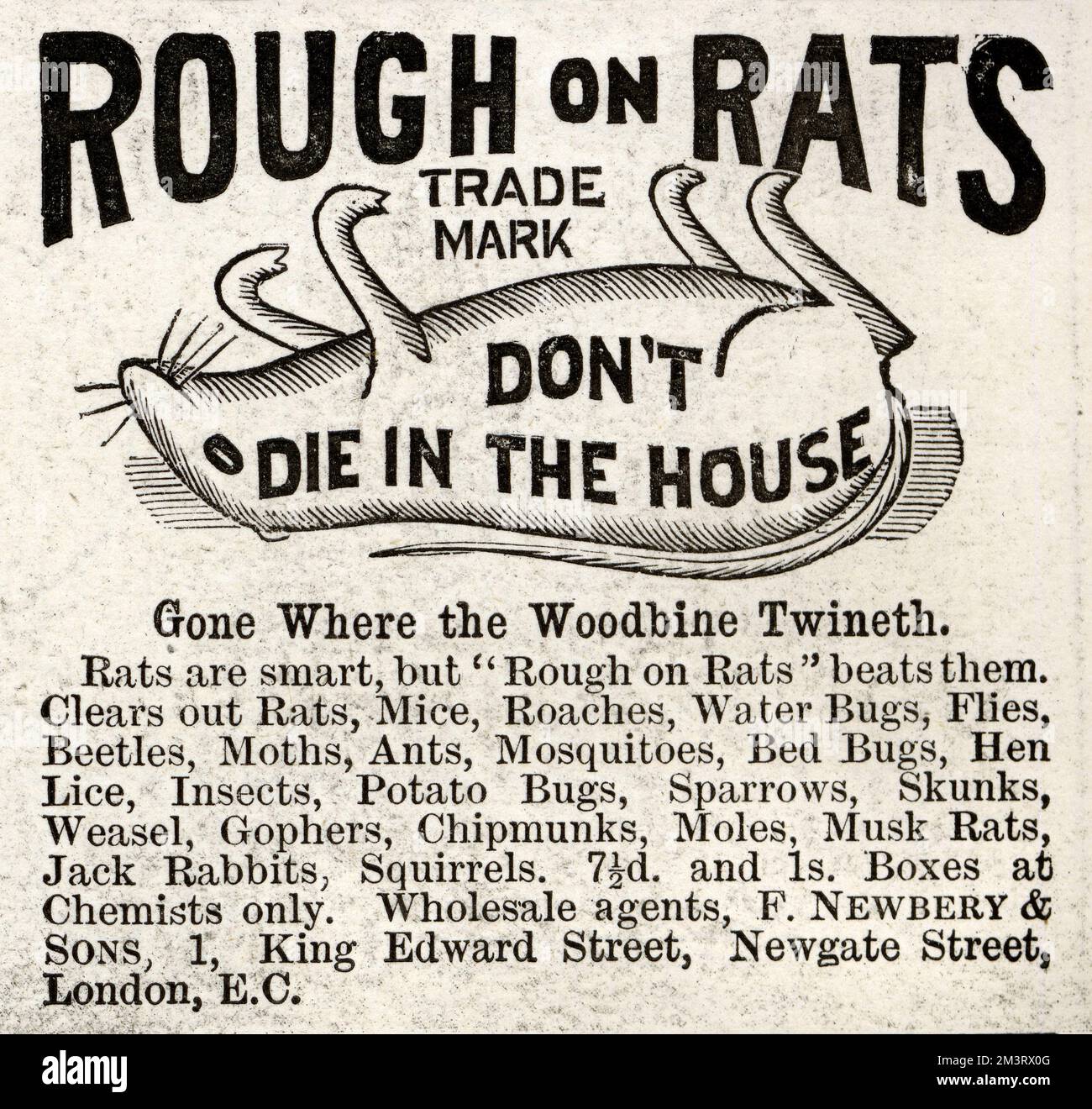 Rough on rats hi-res stock photography and images - Alamy