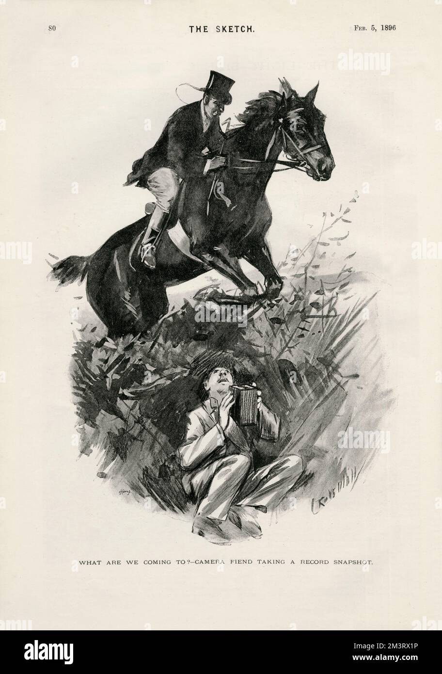 Horse and rider jumping hedge hi-res stock photography and images - Alamy