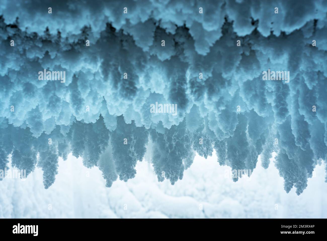 Winter Christmas background of frozen snow growths on the ceiling of ...