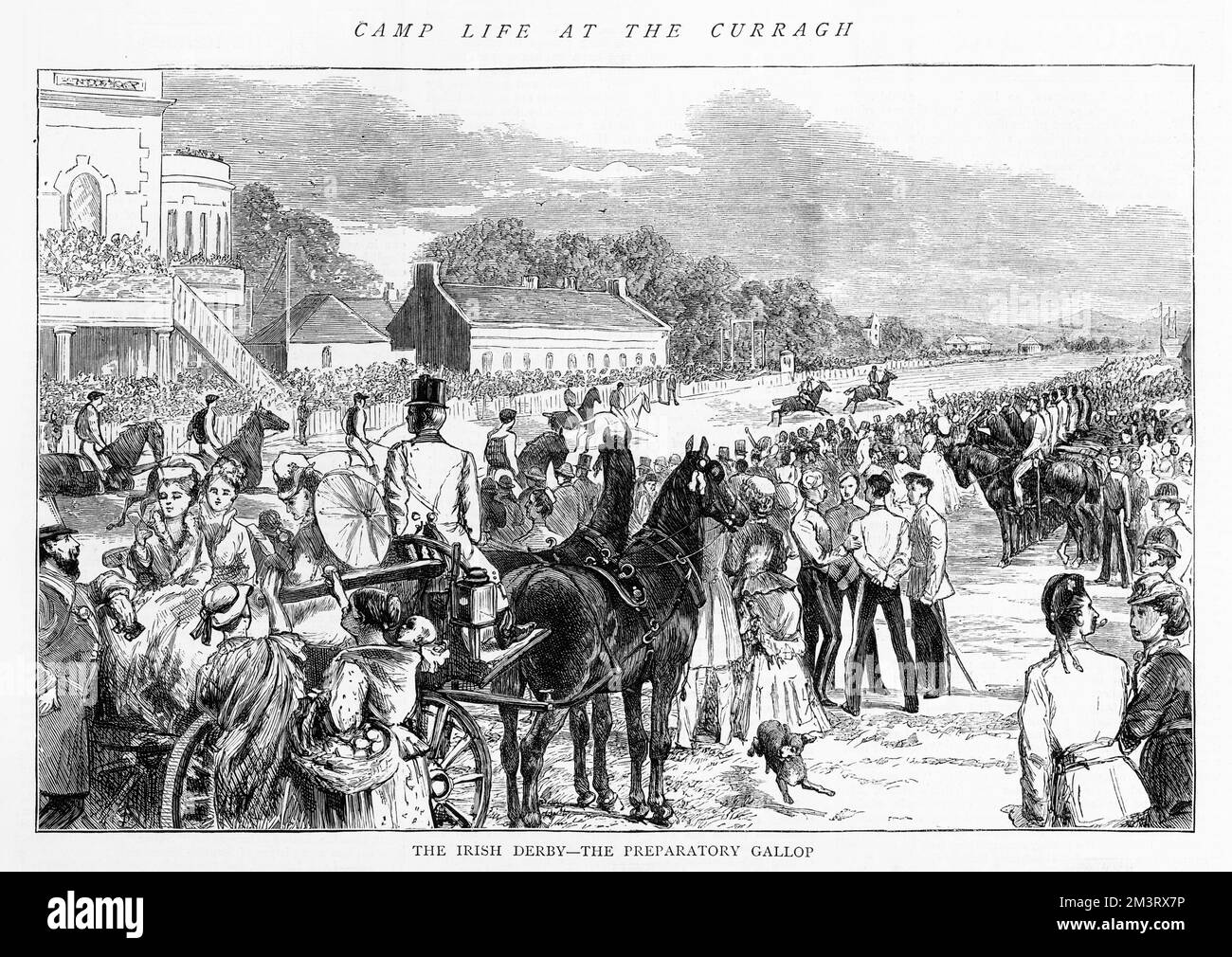 Camp Life at The Curragh - Irish Derby - The Preparatory Gallop. Date ...