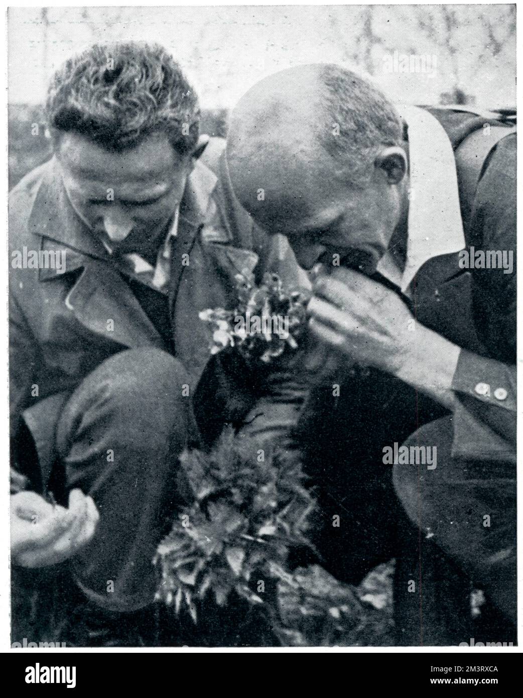 Wandervogel movement hi-res stock photography and images - Alamy