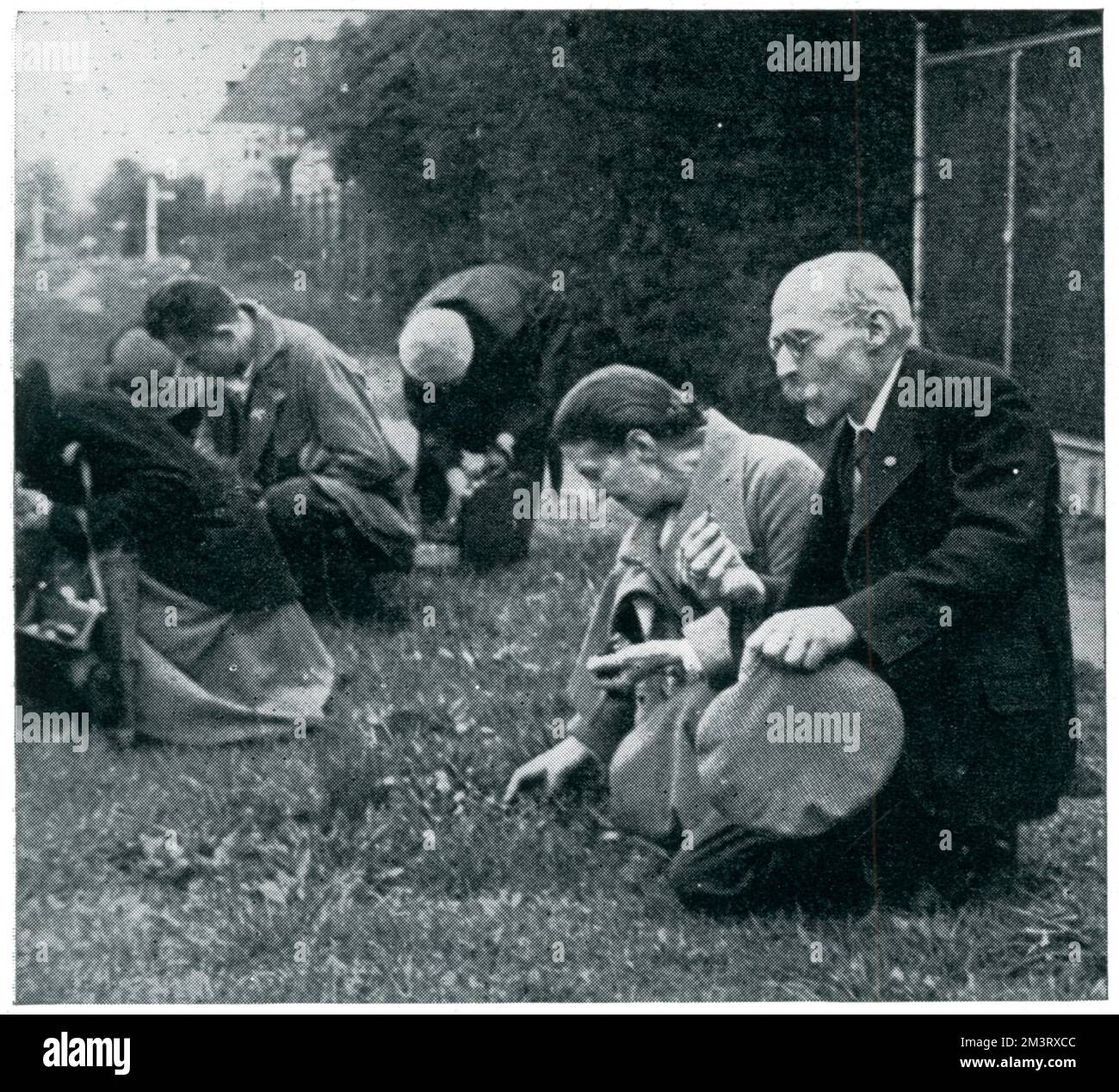 Wandervogel Movement - vegetarian hikers forage for food Stock Photo ...