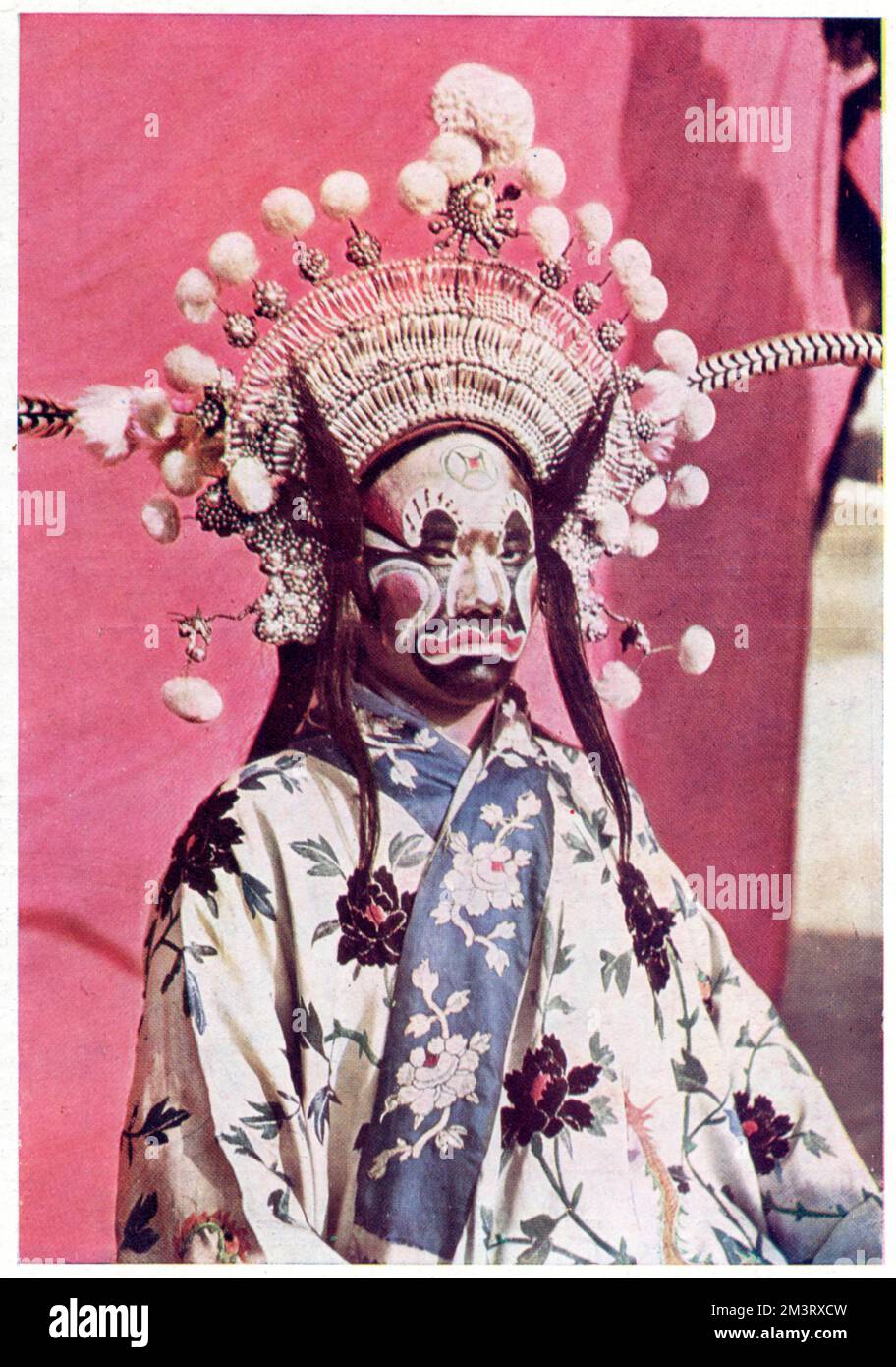 Chinese turkestan Cut Out Stock Images & Pictures - Alamy