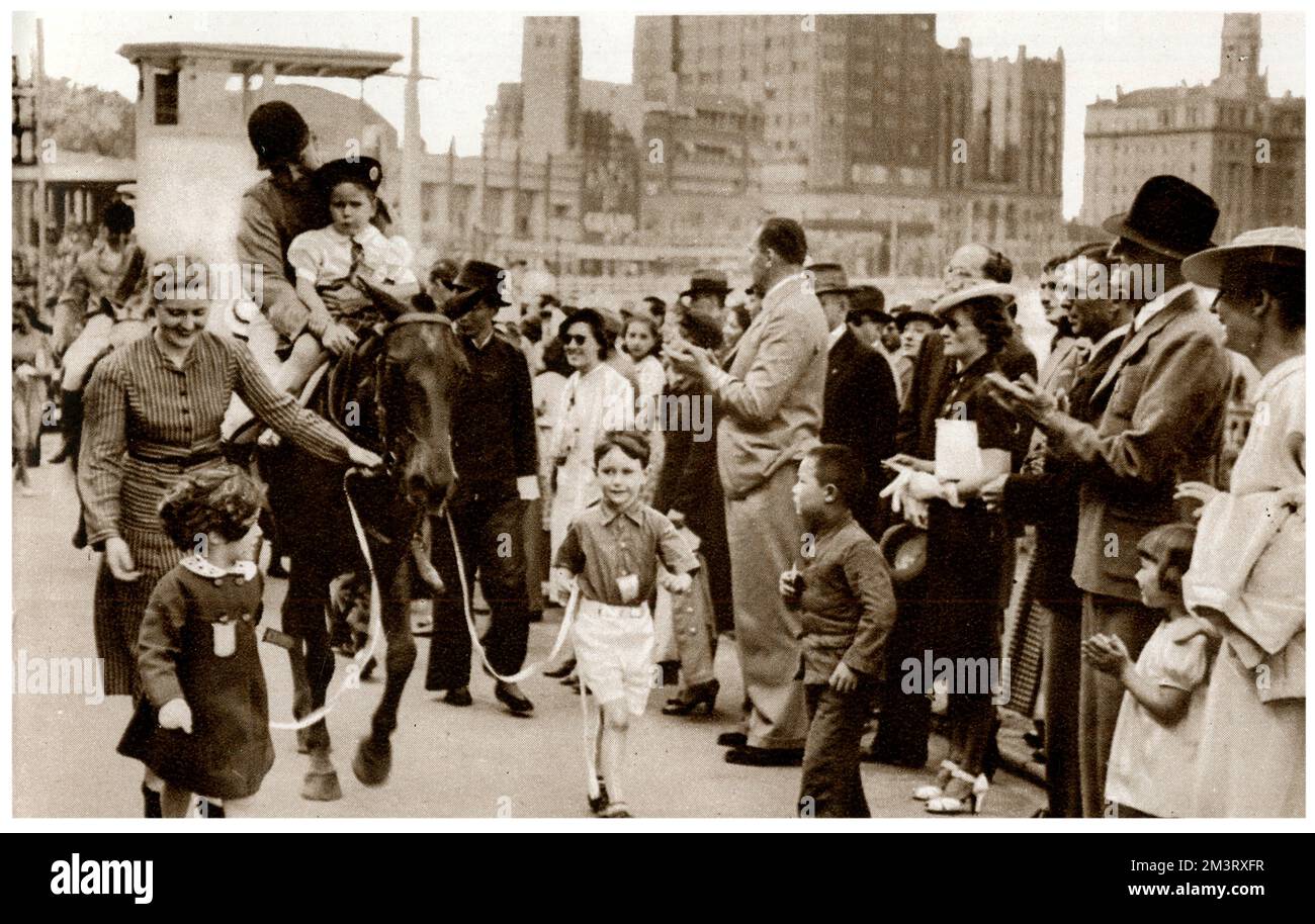 Shanghai Races - horse being led through the crowd Stock Photo - Alamy