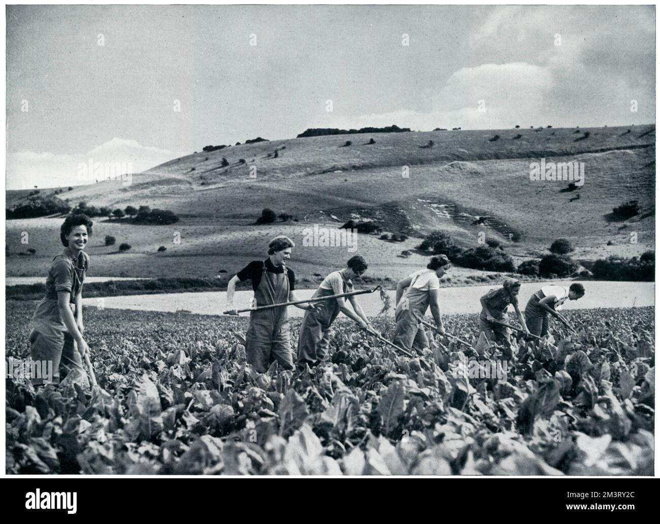 Agricultural training Cut Out Stock Images & Pictures - Alamy