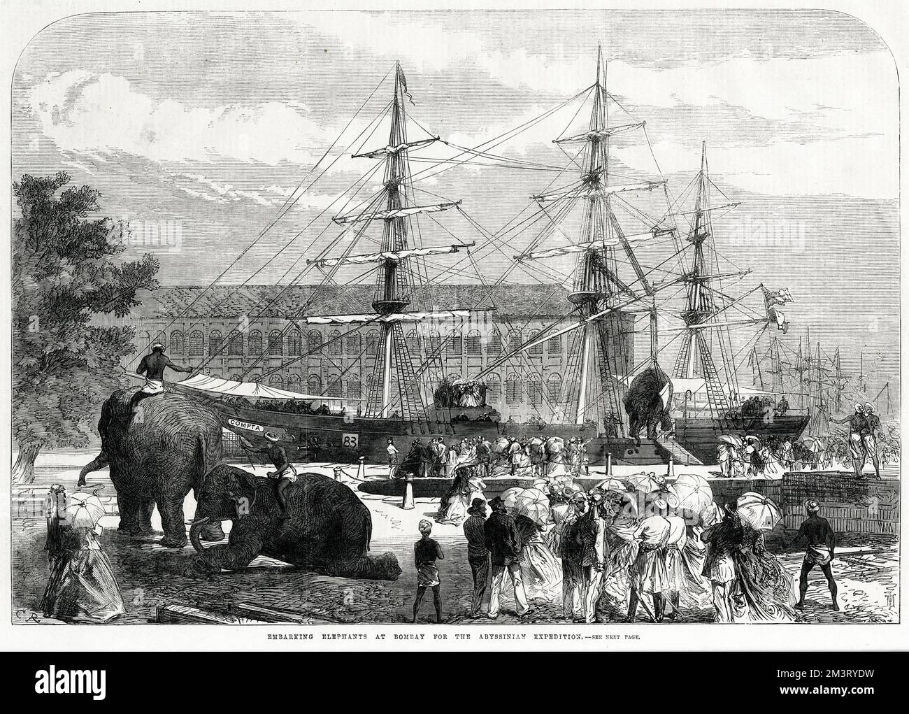 Elephant shipping hi-res stock photography and images - Alamy