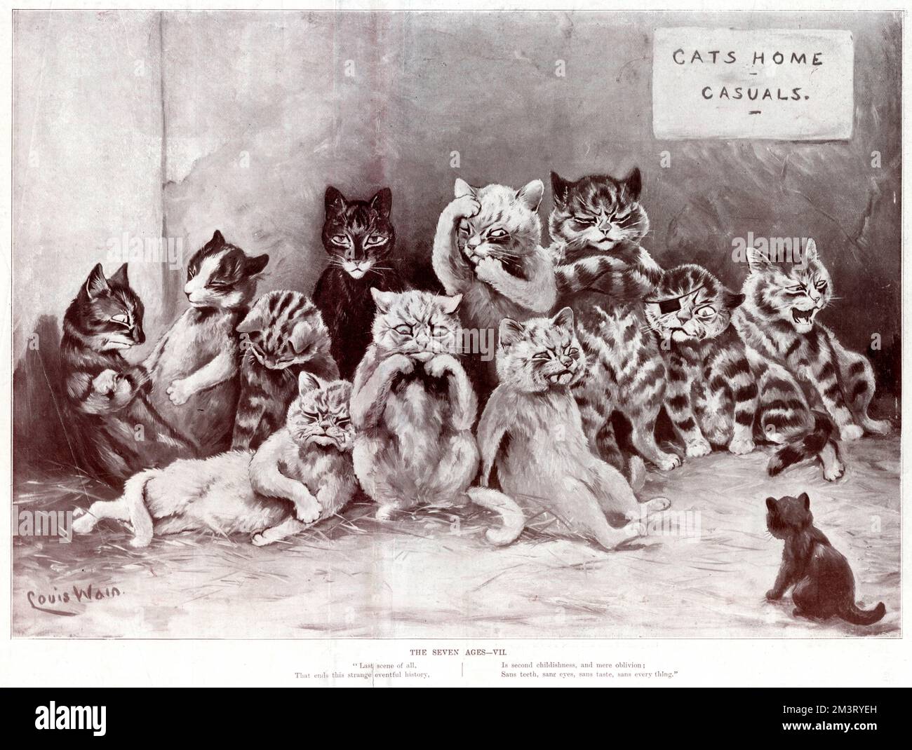 Seven eyes hi-res stock photography and images - Alamy