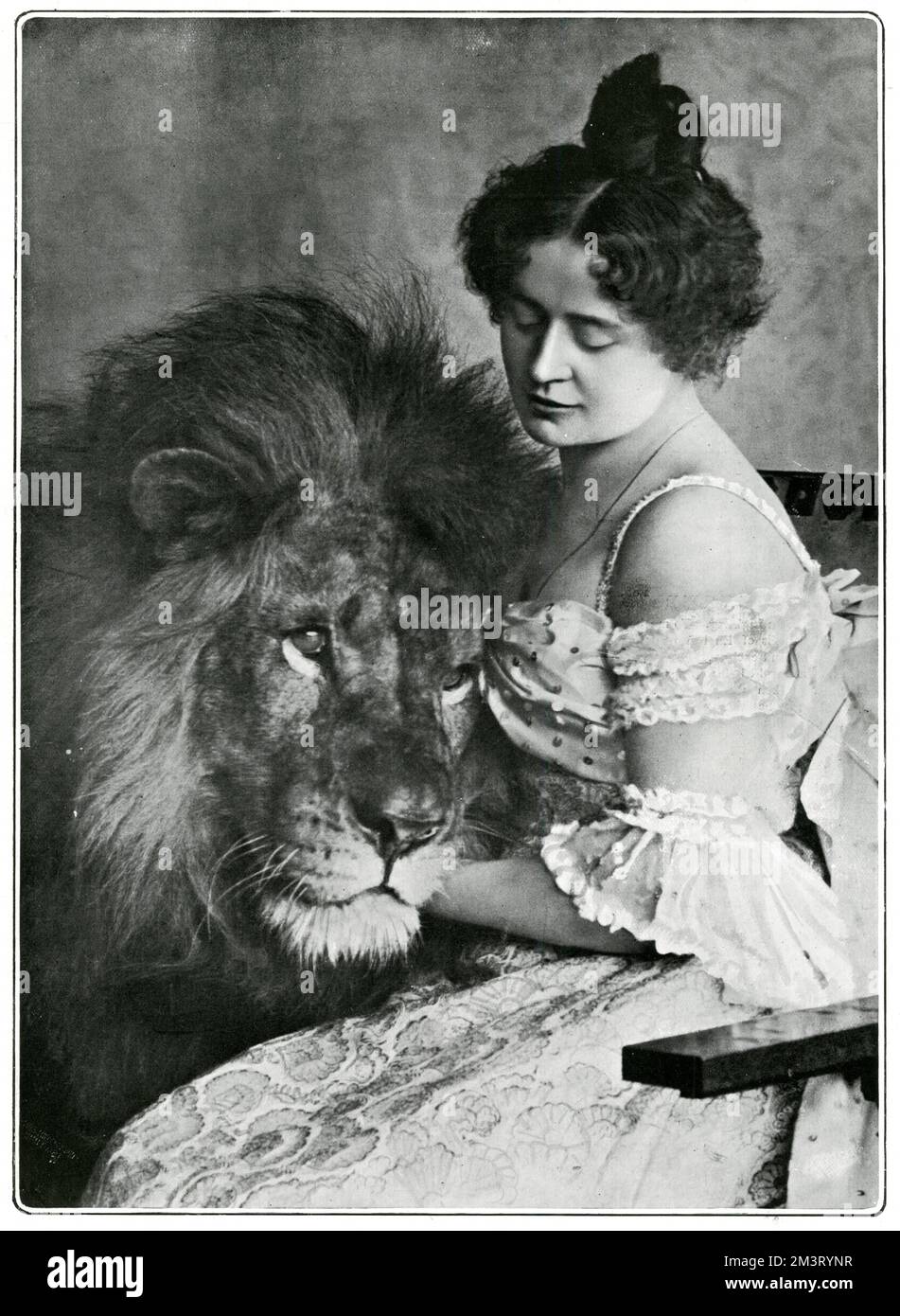 Dangerous naimal hi-res stock photography and images - Alamy