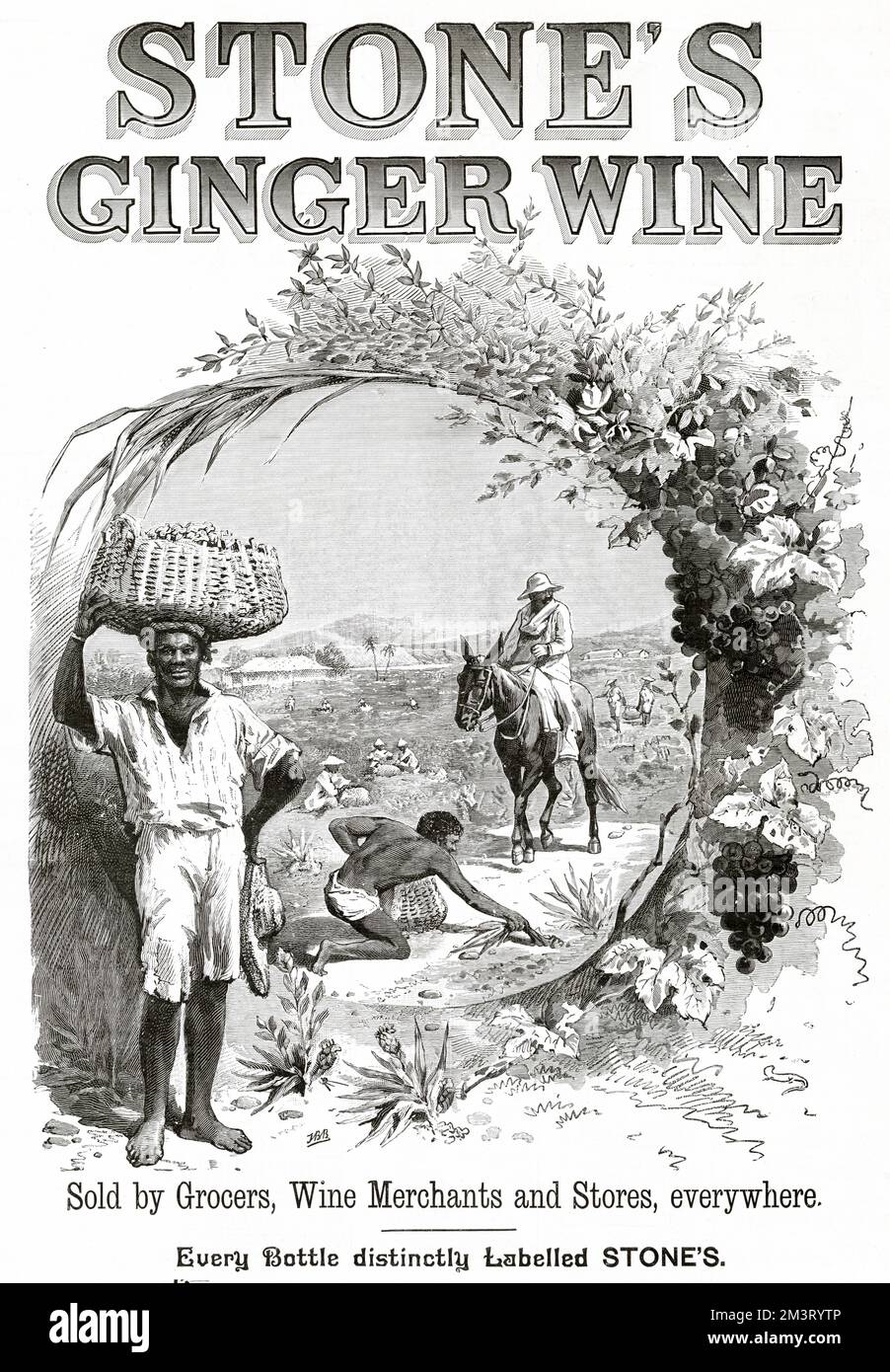 Stone’s ginger wine hi-res stock photography and images - Alamy