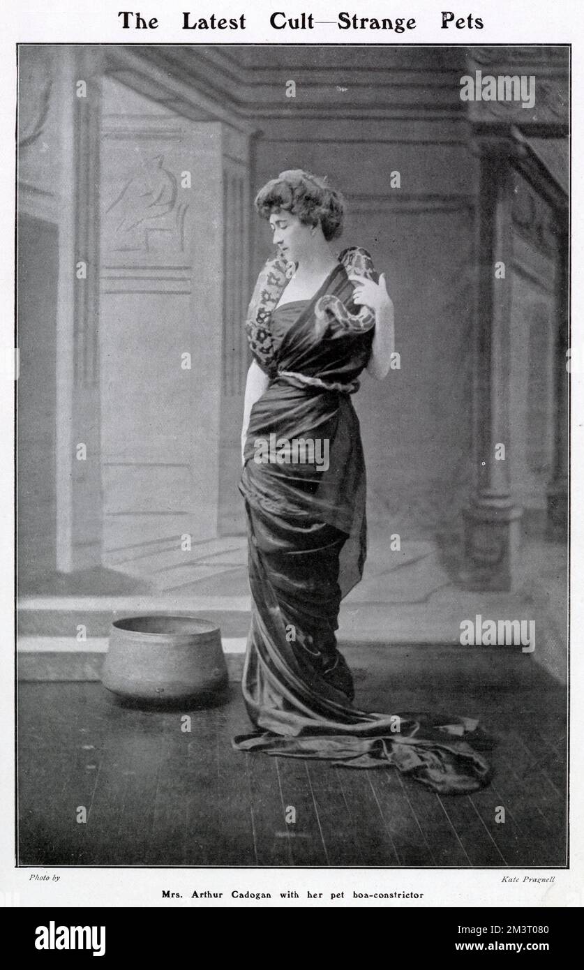 The Latest Cult - strange pets. Mrs. Arthur Cadogan looking very ...