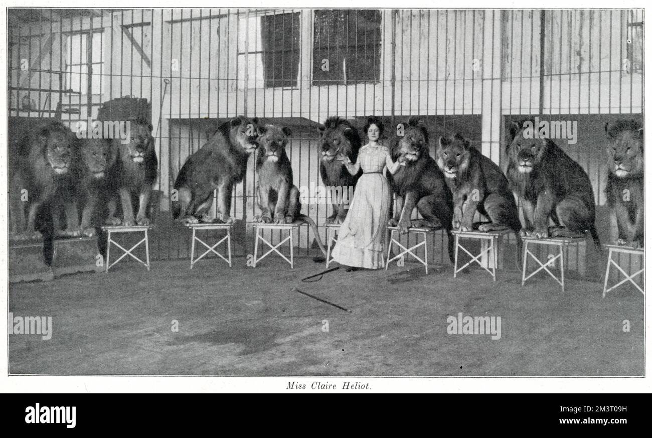 Lion tamers Cut Out Stock Images & Pictures - Alamy