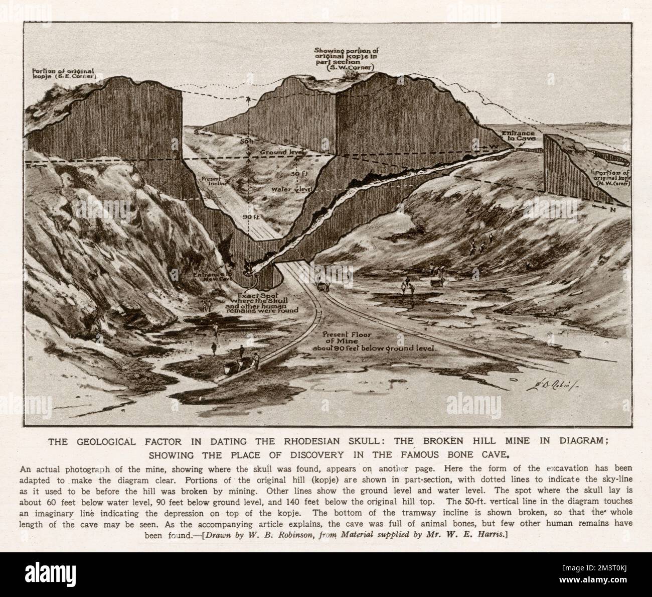 Rhodesia hominid hi-res stock photography and images - Alamy