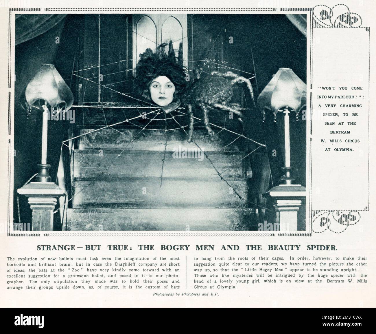 The Bogey Men and the Beauty Spider Stock Photo - Alamy