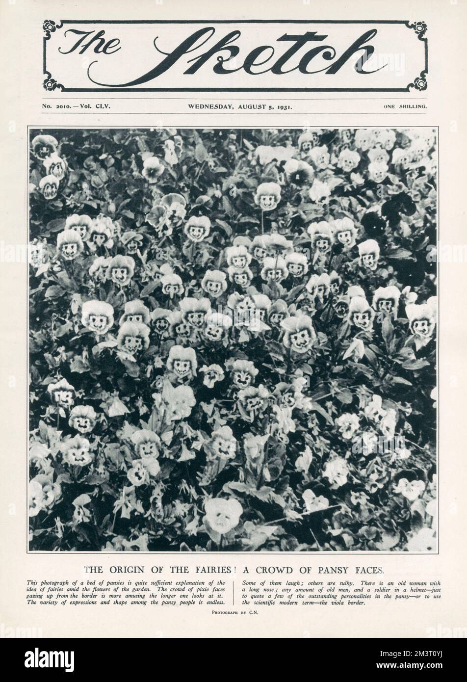 Flower magazine cover hi-res stock photography and images - Alamy