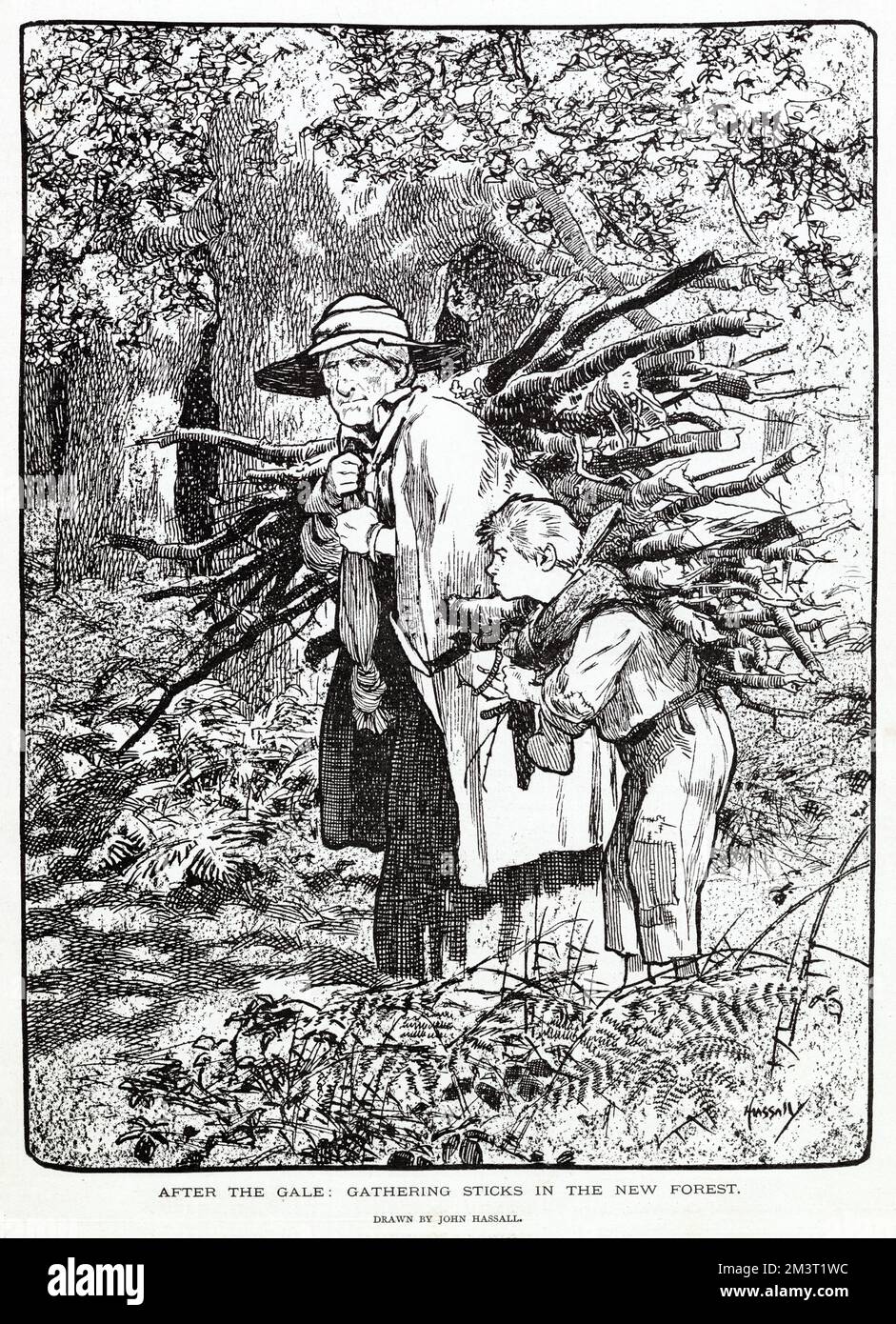 Gathering sticks forest hi-res stock photography and images - Alamy