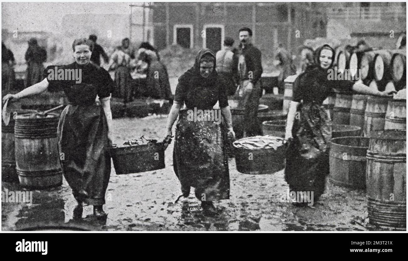 What Is Coming Down In Buckets at Shanna Thelma blog