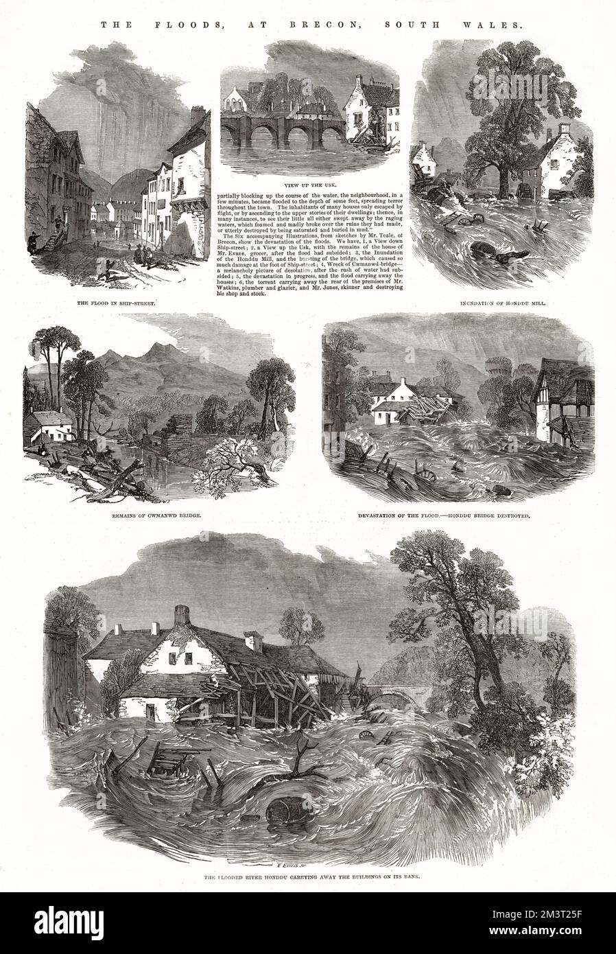 River floods Cut Out Stock Images & Pictures - Alamy