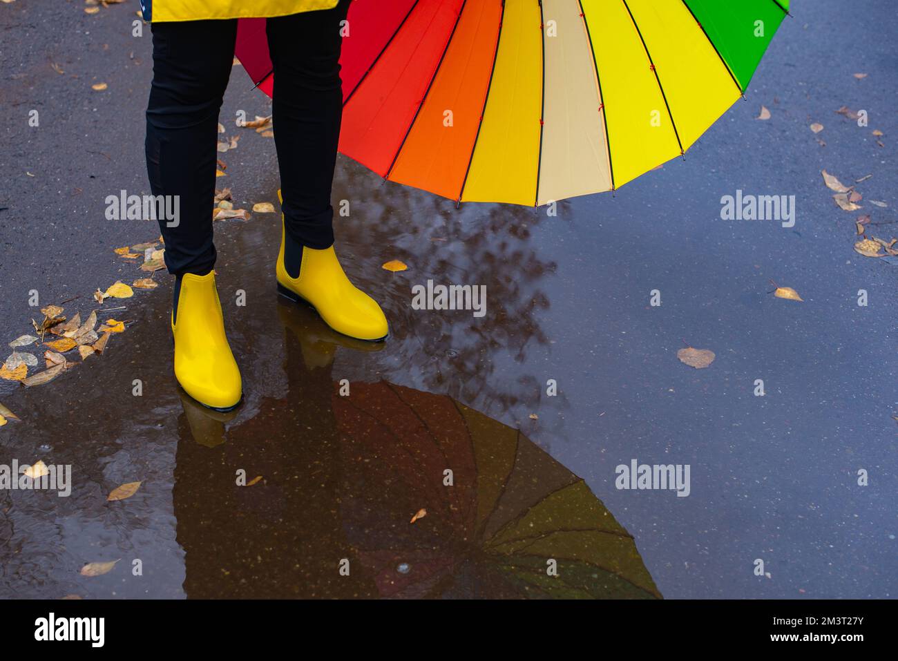 multi-colored umbrella and yellow boots in a puddle Stock Photo - Alamy