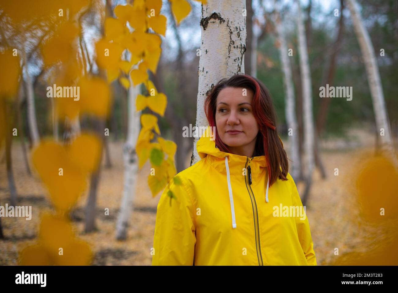 Yellow cloak hi-res stock photography and images - Alamy