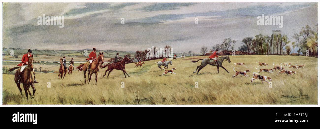 Cross Country With Hounds - Essex Union hunt Stock Photo - Alamy