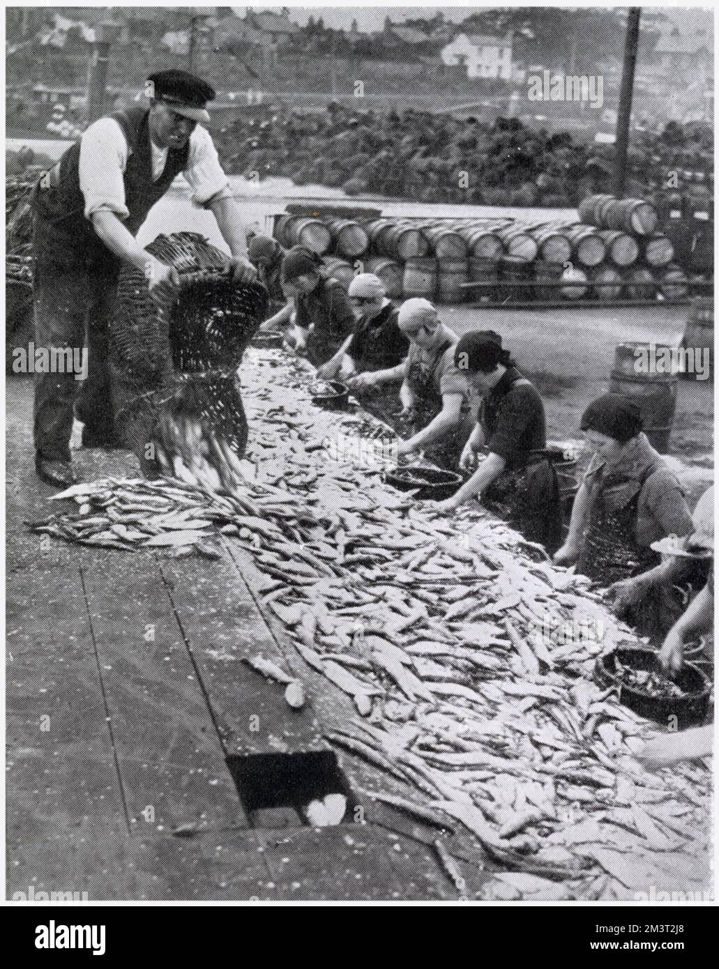 Scottish lassies hi-res stock photography and images - Alamy