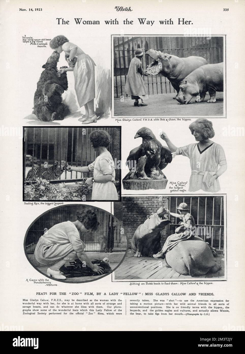 Fellow of the zoological society hi-res stock photography and images ...