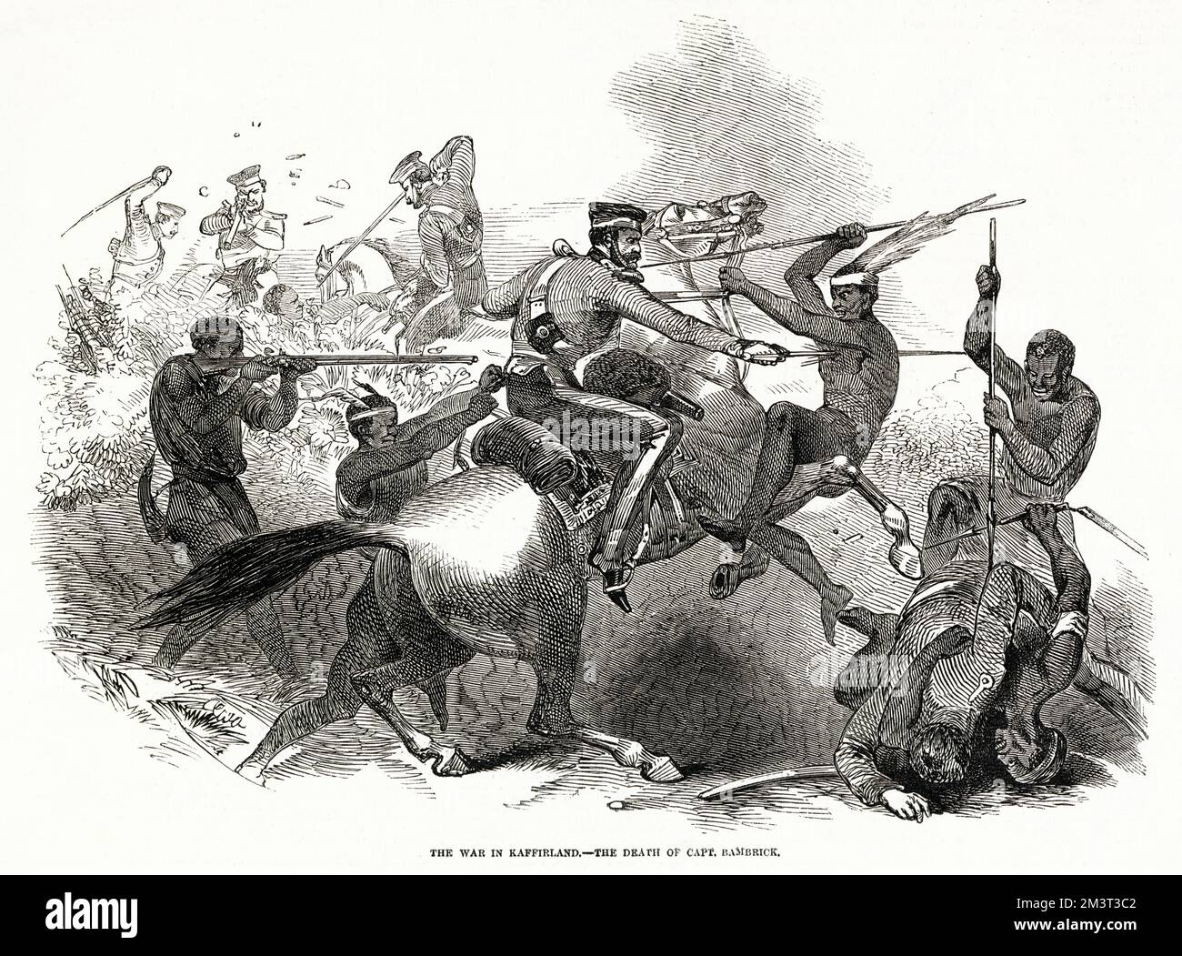 Captain war Cut Out Stock Images & Pictures - Alamy