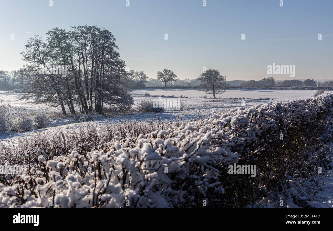 Hatfield, Hertfordshire, England, UK Stock Photo - Alamy