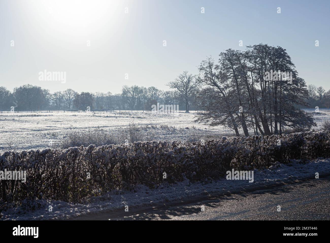 Hatfield, Hertfordshire, England, UK Stock Photo - Alamy