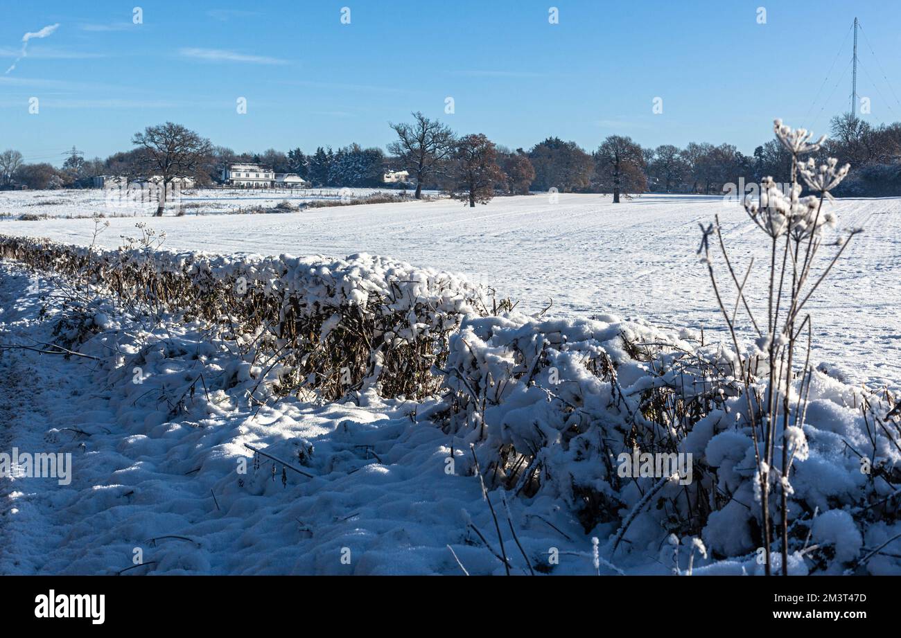 Hatfield, Hertfordshire, England, UK Stock Photo - Alamy
