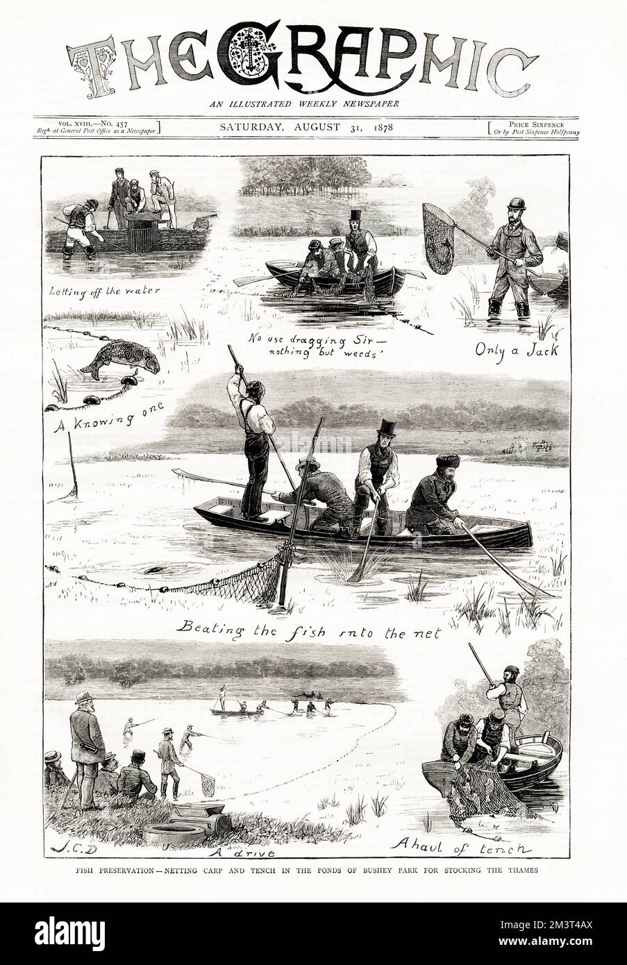 Netting carp hi-res stock photography and images - Alamy