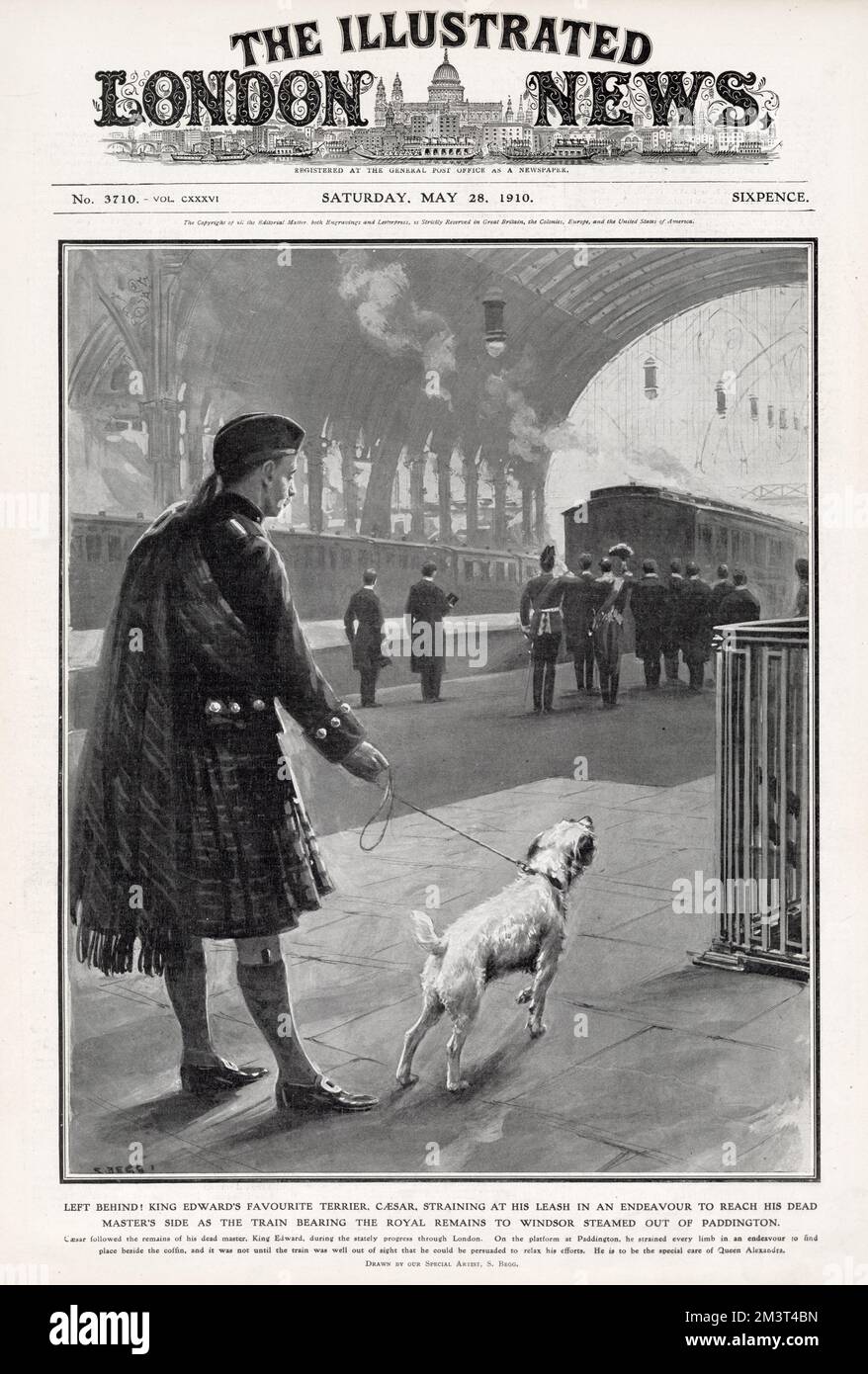Edward VII's terrier Caesar watches as King's coffin leaves Stock Photo ...