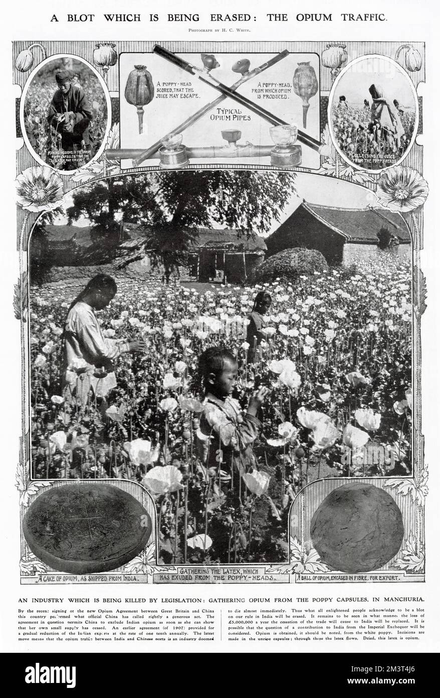 A new opium agreement between Great Britain and China. The agreement ...