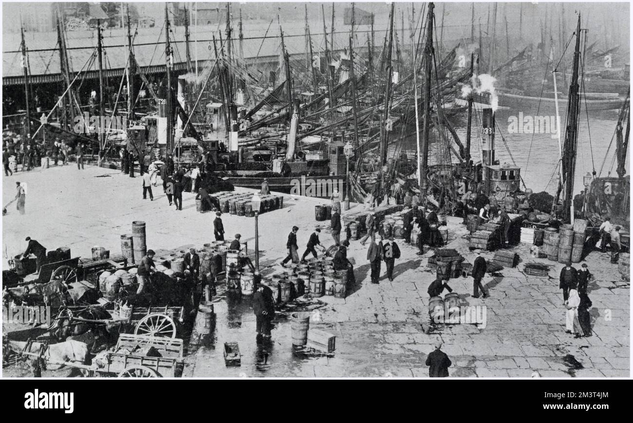 Lowestoft - Herring Harvest 1906 Stock Photo - Alamy