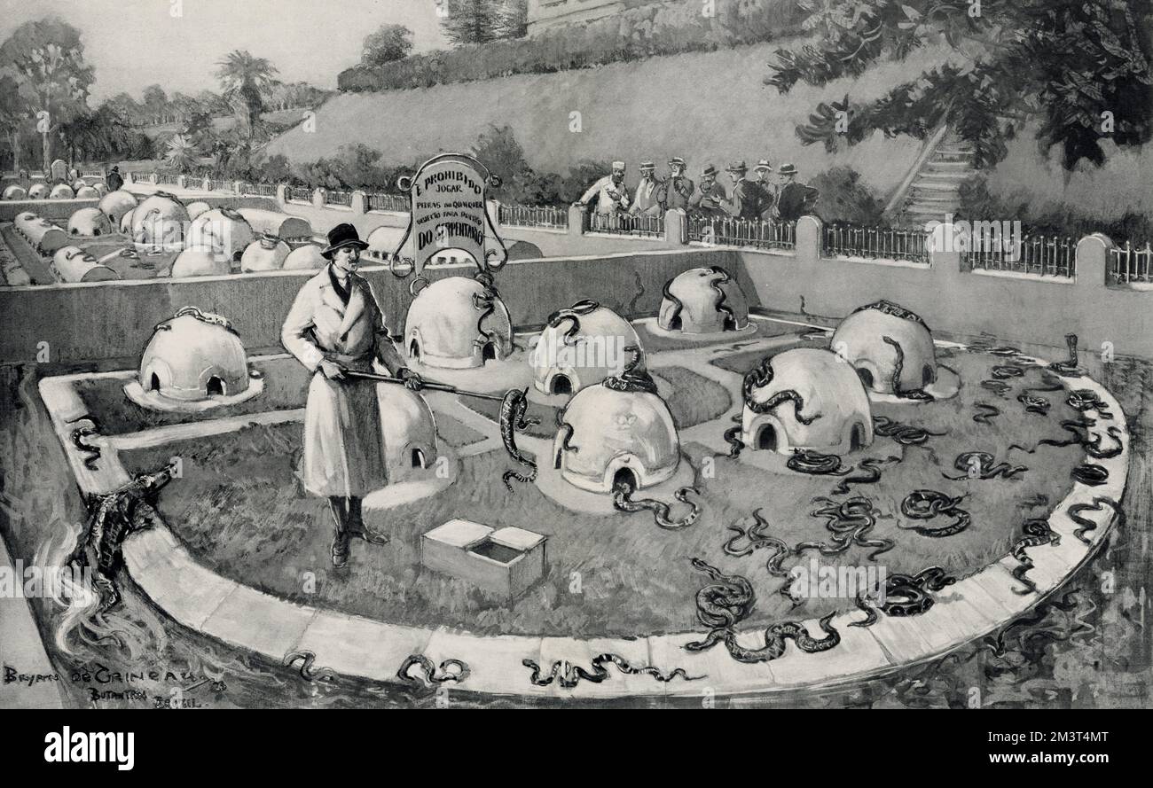 Farming snakes to extract their venom Stock Photo - Alamy