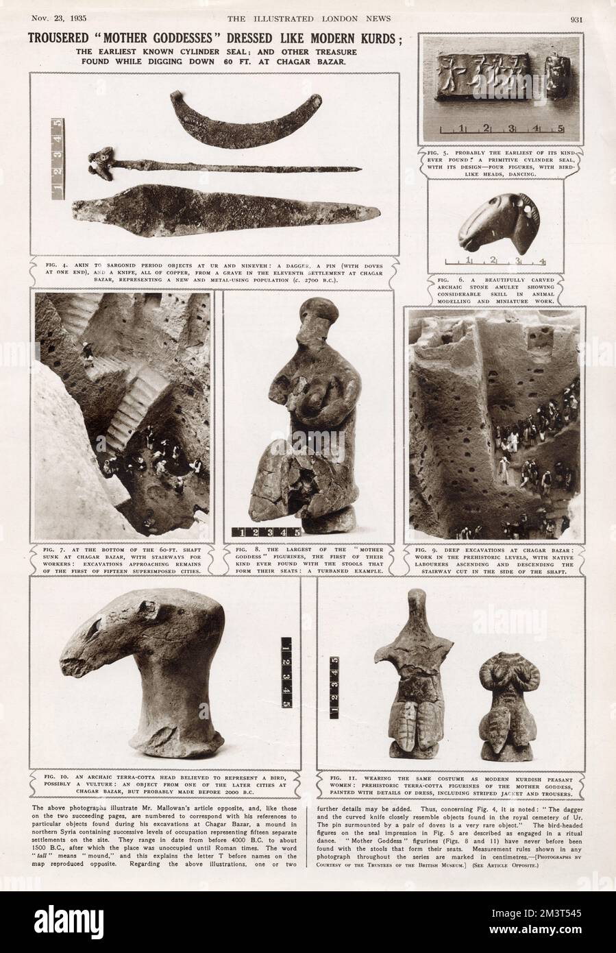 Professor of historical archaeology hi-res stock photography and images ...