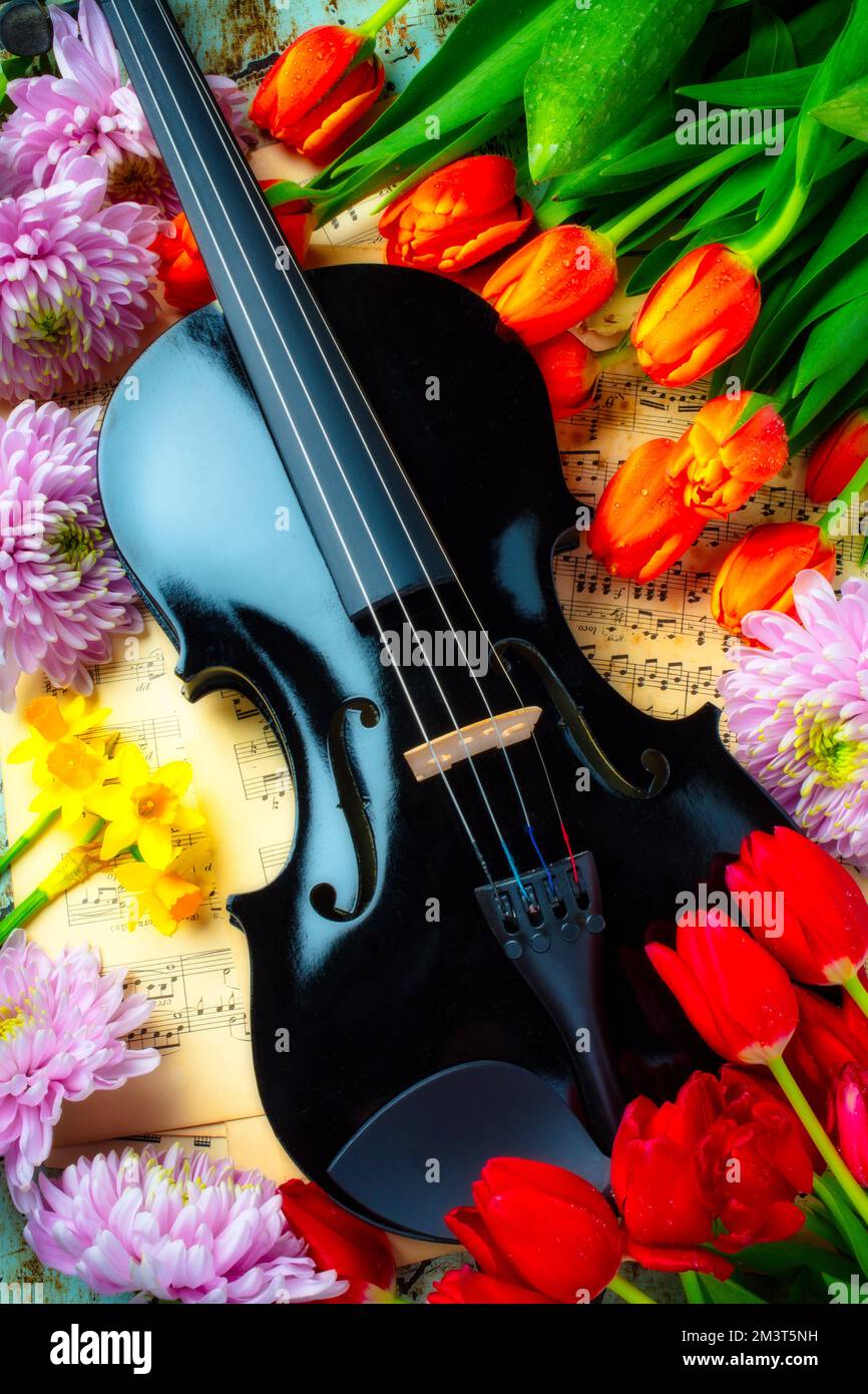 Black Violin With Spring Flowers Stock Photo - Alamy