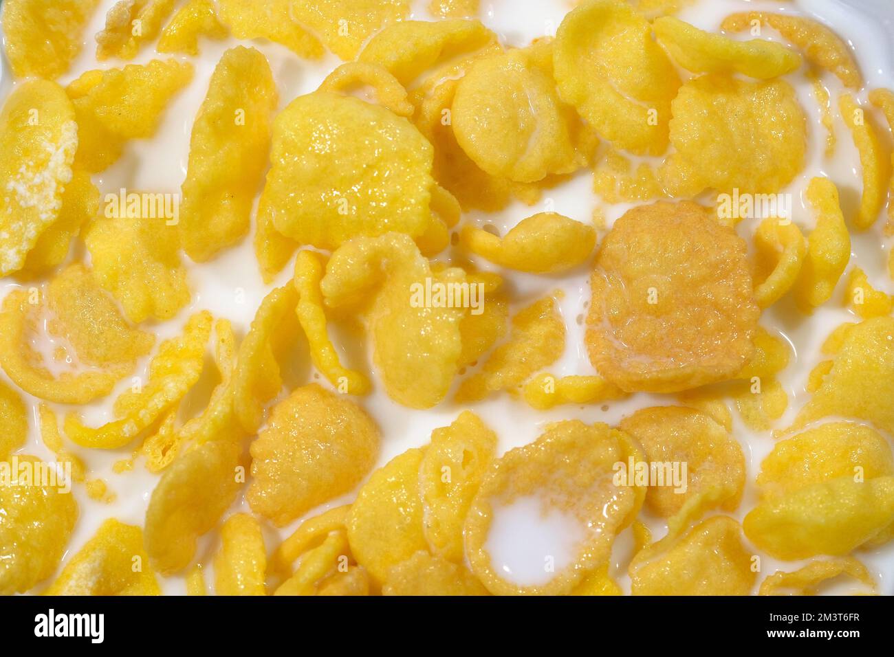 Sweet crunchy cornflakes milk hi-res stock photography and images - Alamy