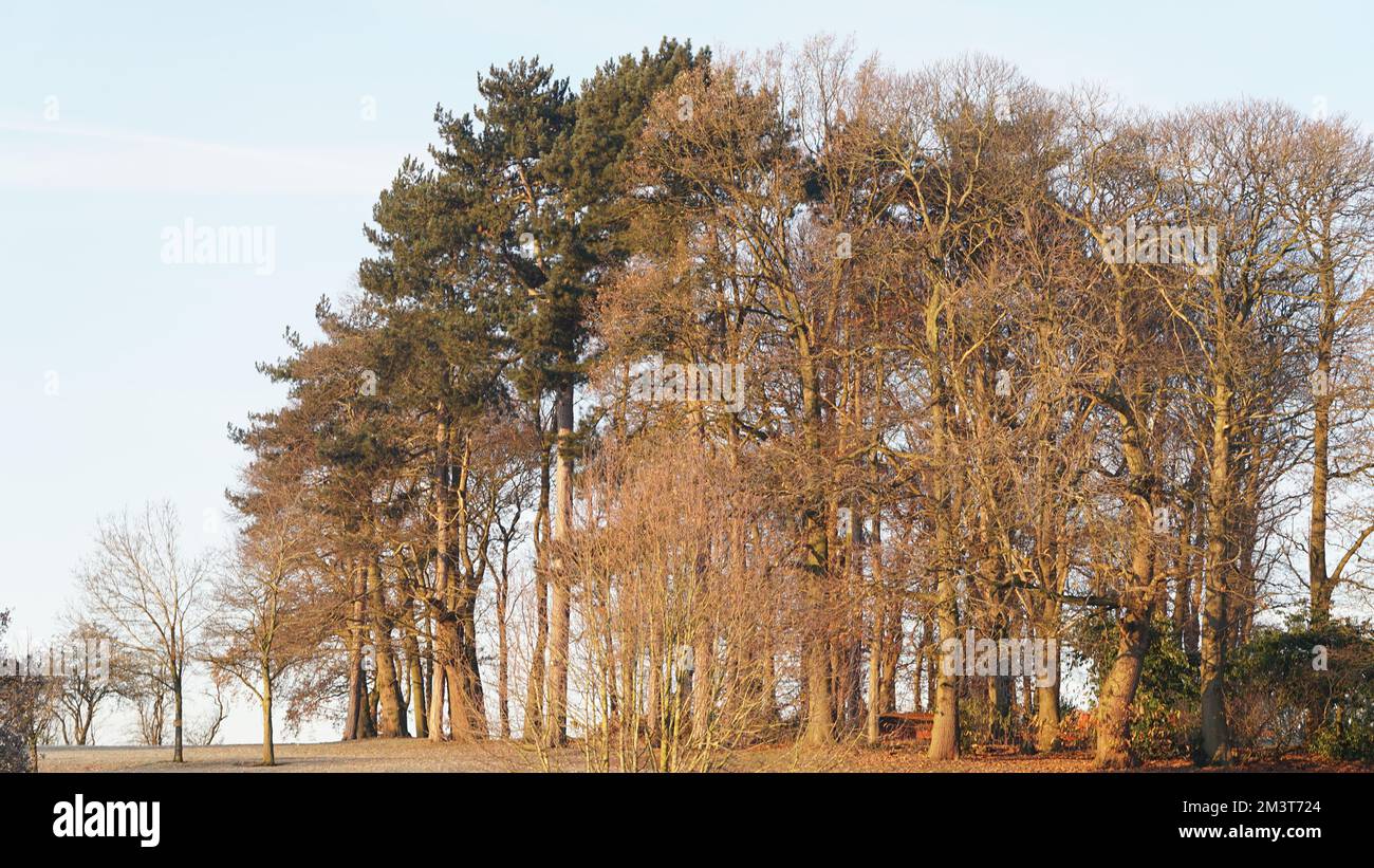 Breadsall Priory Marriott Hotel and Country Club, Derby Stock Photo - Alamy
