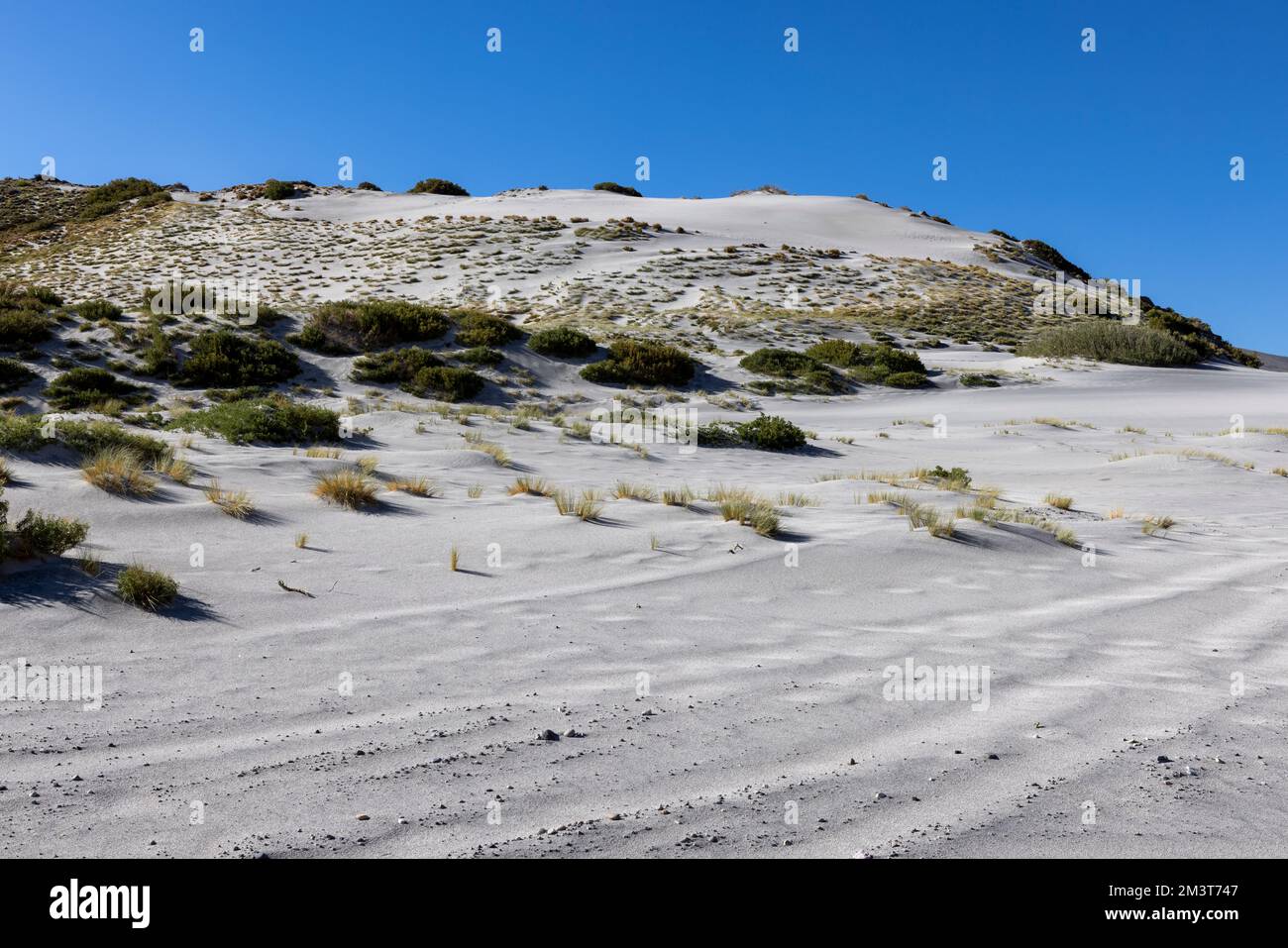 Landscape with dunes and sandy areas at Paso Vergara - crossing the ...