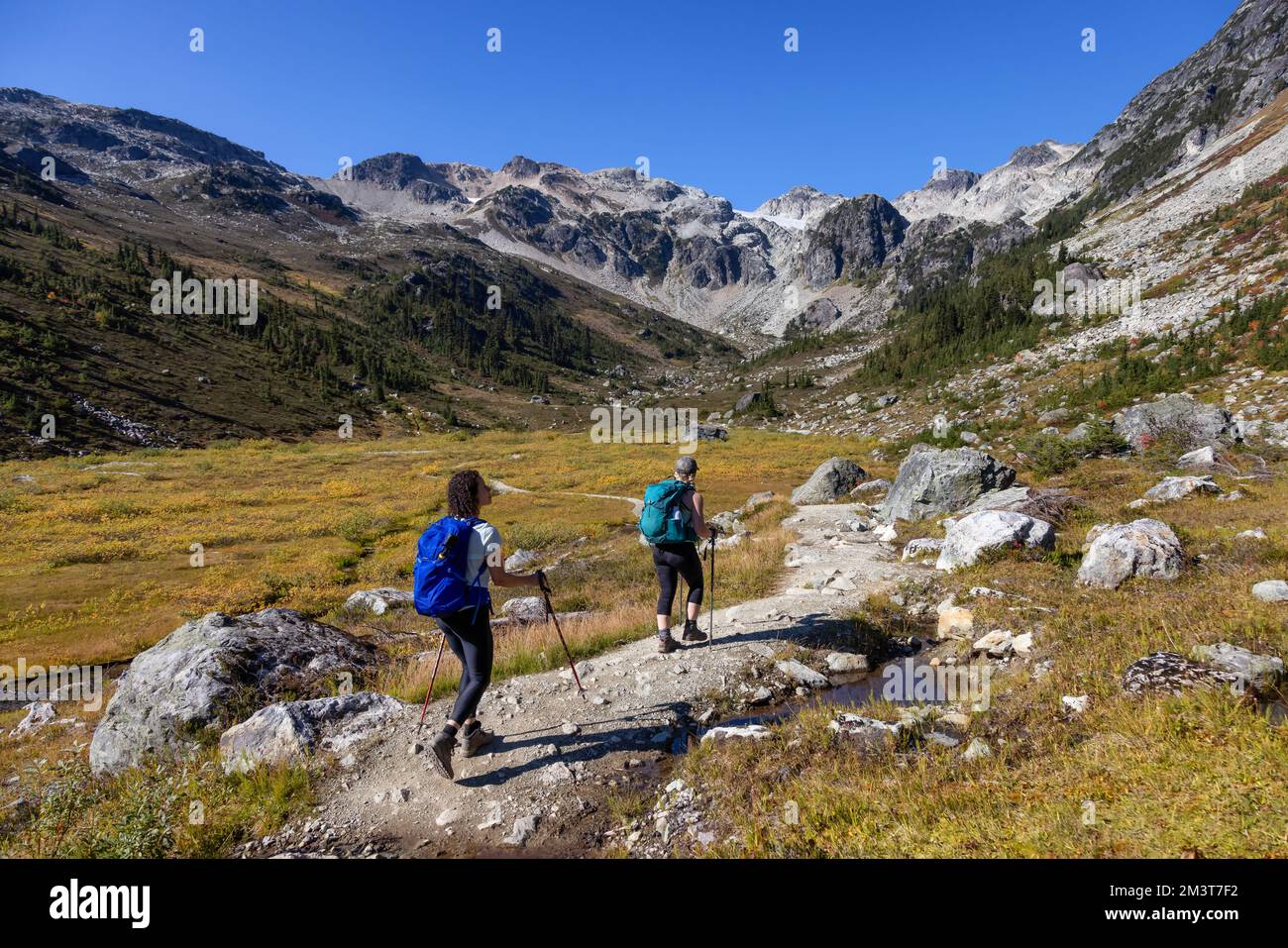 Adventurous people hiking in Canadian Mountain Landscape. Brandywine ...
